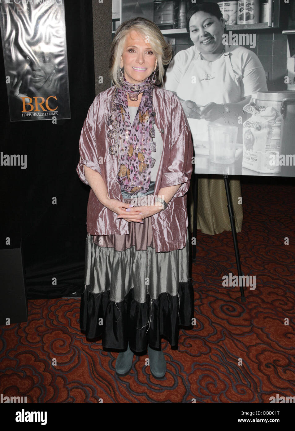 Sheila Nevins Bowery Residents Committee (BRC) Inaugural Benefit Gala ...