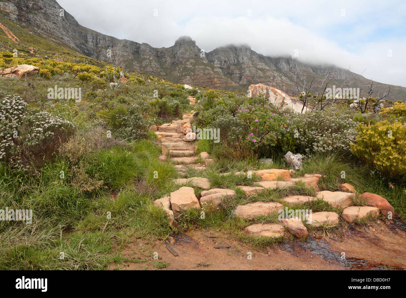 Marking steps hi-res stock photography and images - Alamy