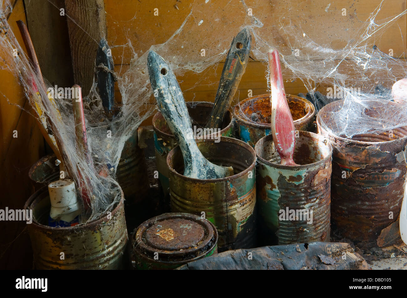 Still Life - Cobwebs & Paint Pots in an old shed Stock Photo - Alamy
