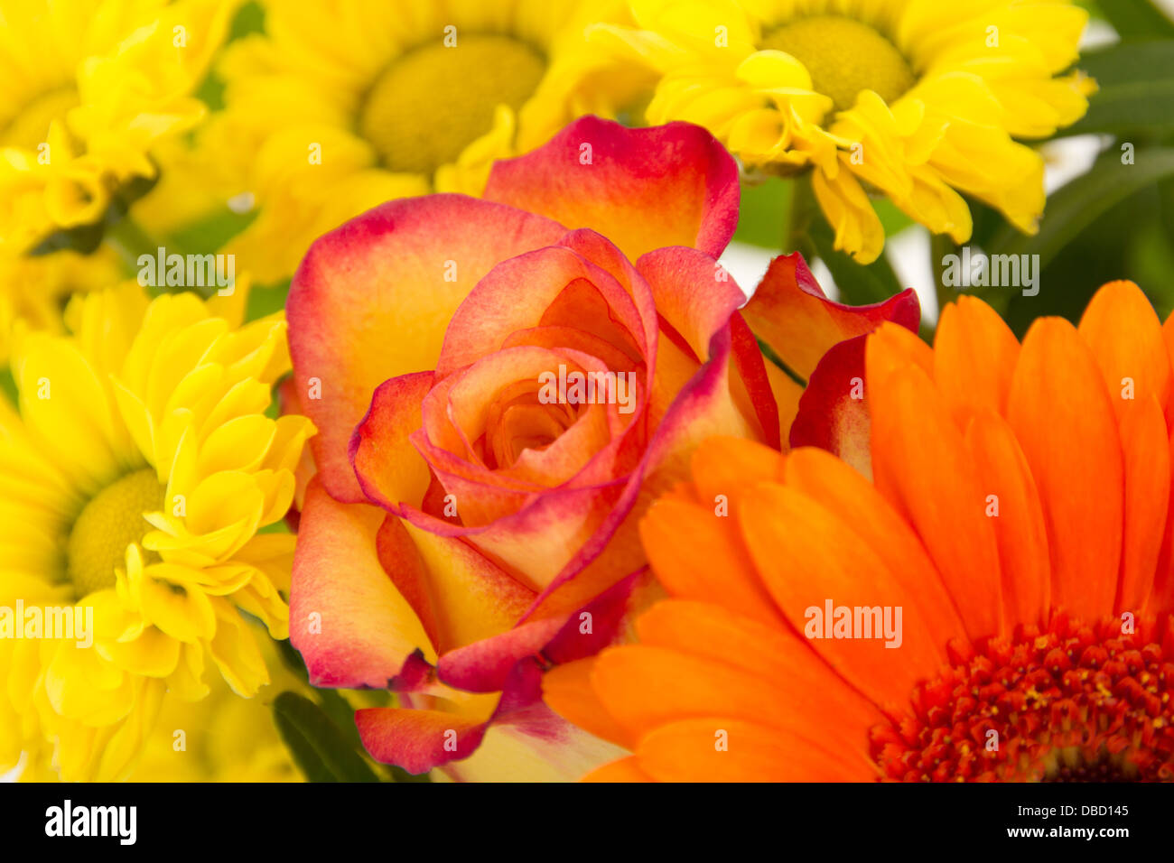 Colorful wedding bouquet hi-res stock photography and images - Alamy