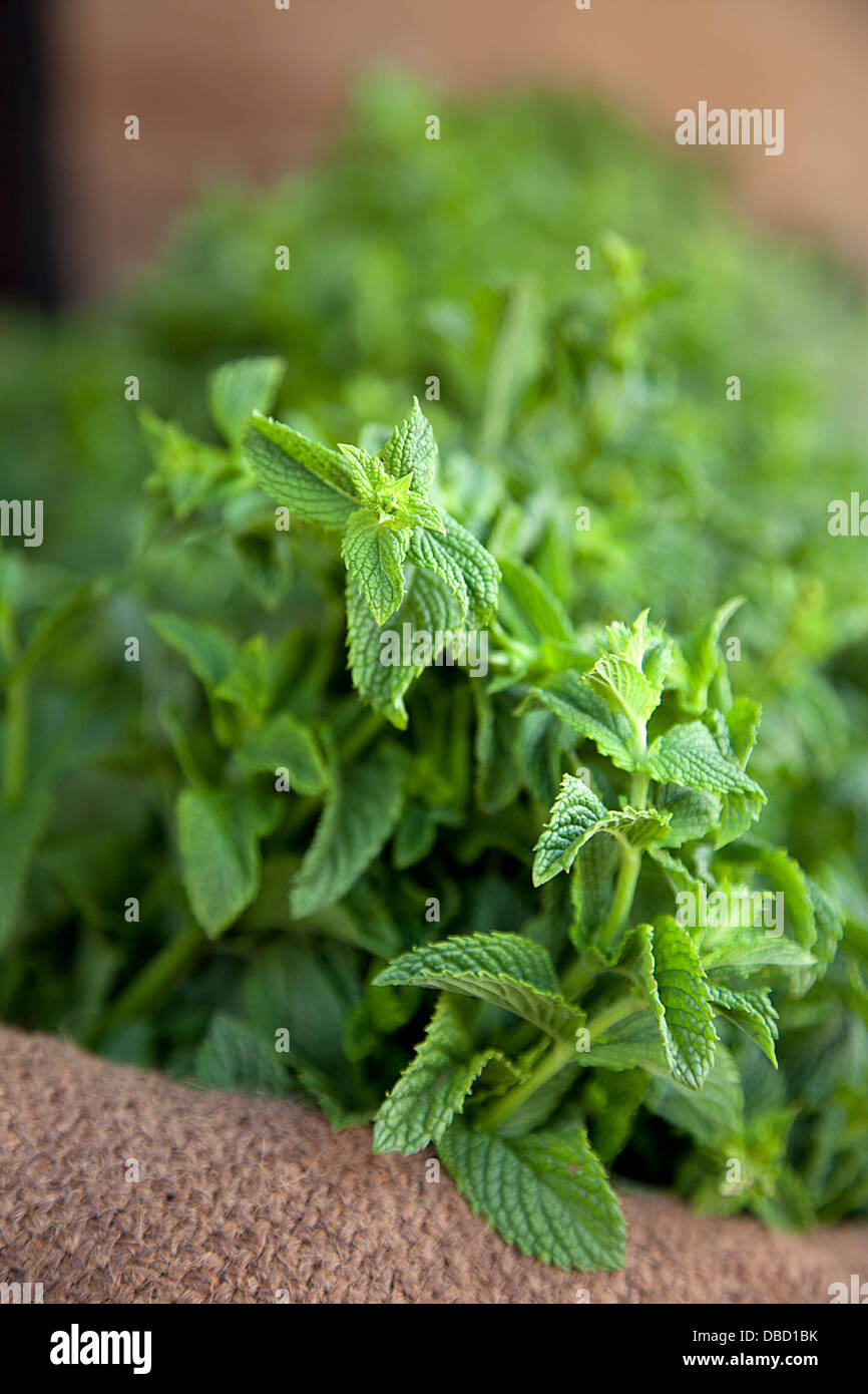 The mint street hi-res stock photography and images - Alamy