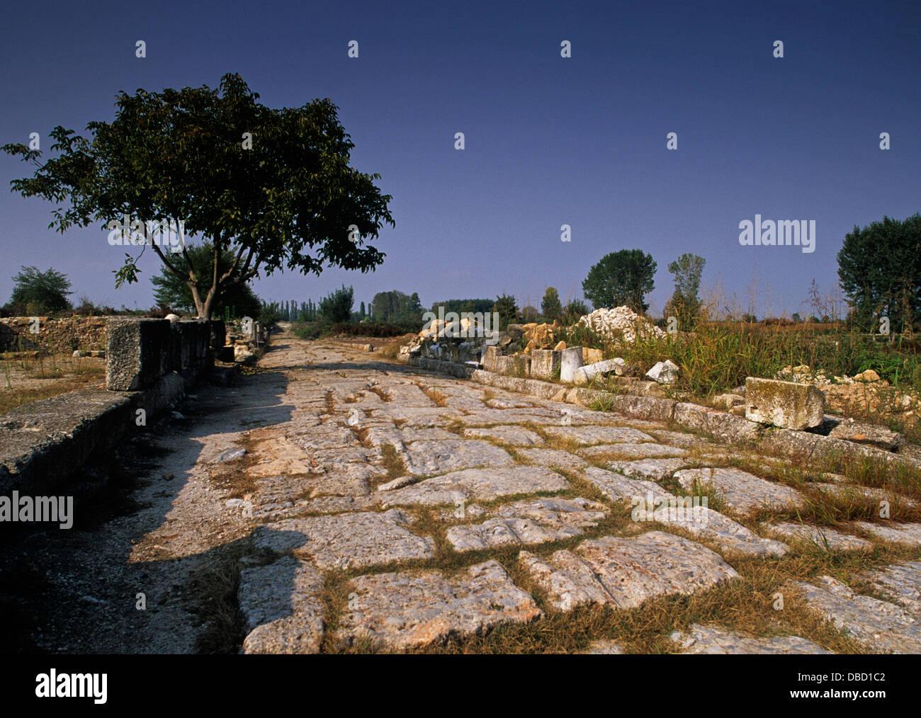 Archaeological Museum of Dion. Zeus was honored at the ancient city of ...