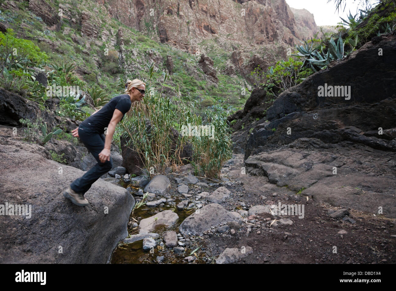 Masca Gorge Hiking Tour, Tenerife, Canary Islands, Spain Stock Photo ...