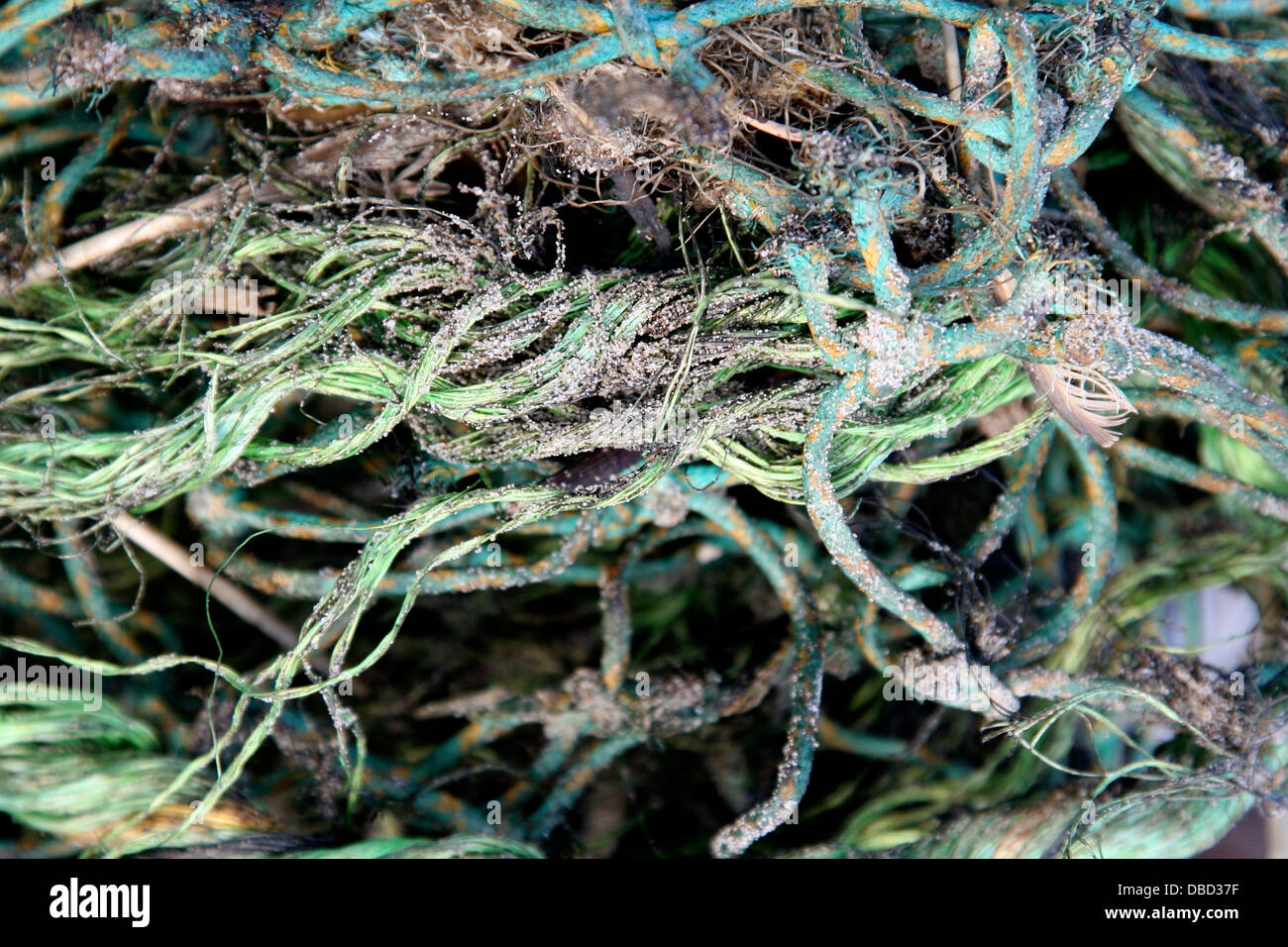 Torn nets hi-res stock photography and images - Alamy