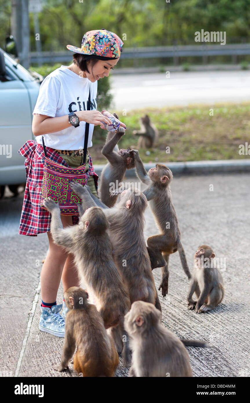 Young girl feeding crisps to wild monkeys, Hong Kong Stock Photo - Alamy
