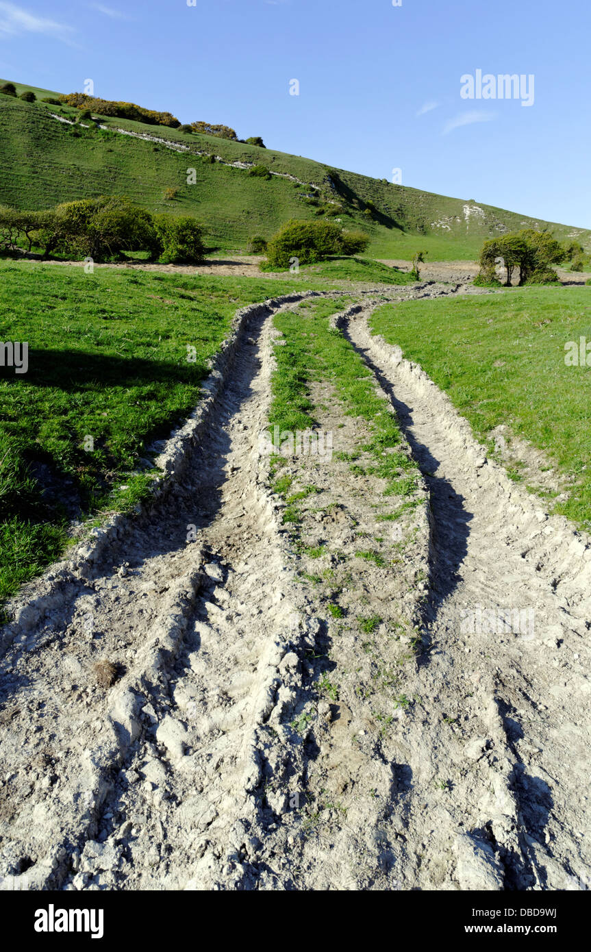 Brook Down, Nature Reserve, Brook, Isle of Wight, England, UK, GB Stock ...