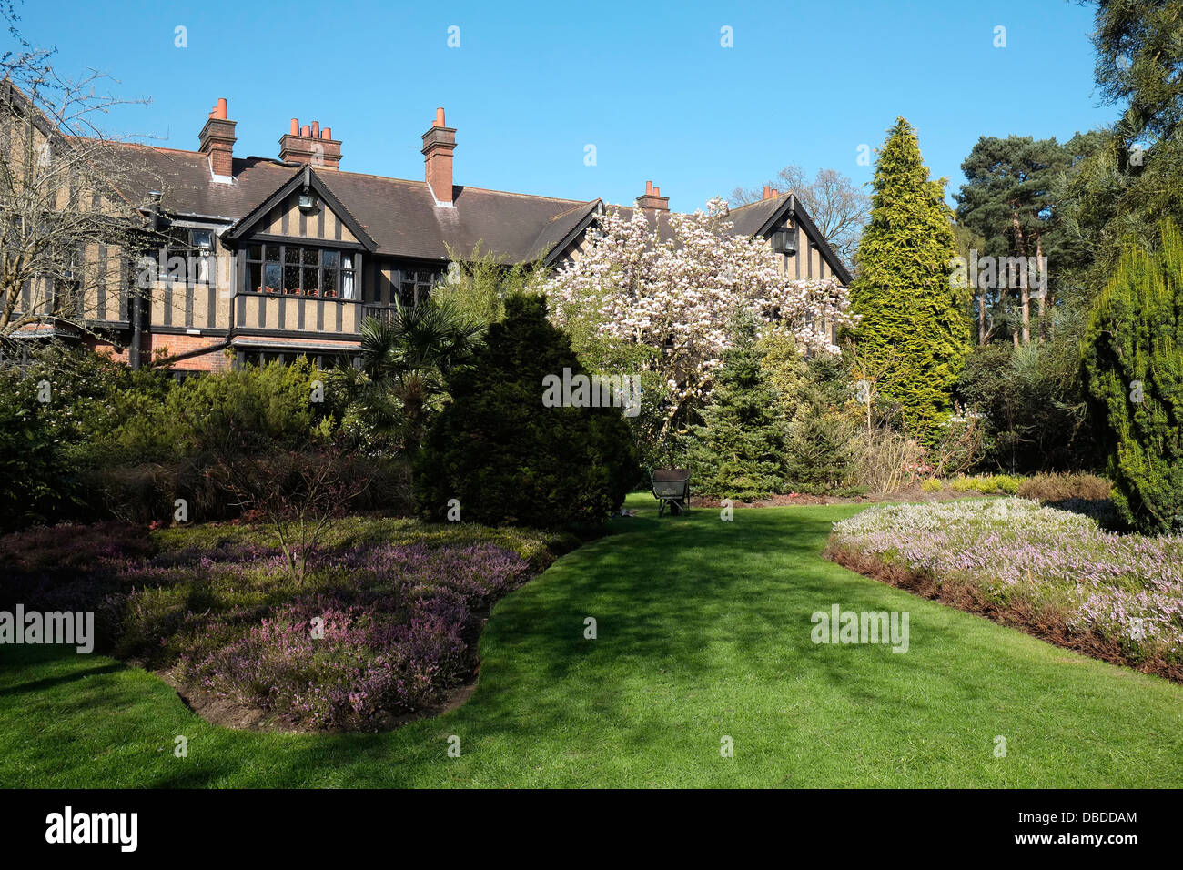 Heather garden border hi-res stock photography and images - Alamy