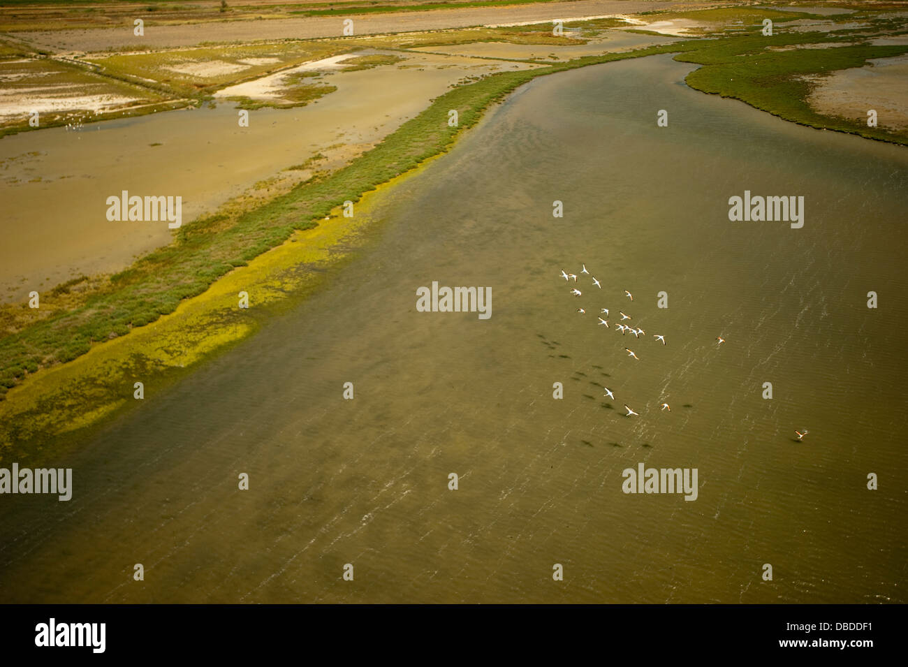 Aerial view of flamingos in Karine Lagoon estuary and wetland Aydın ...