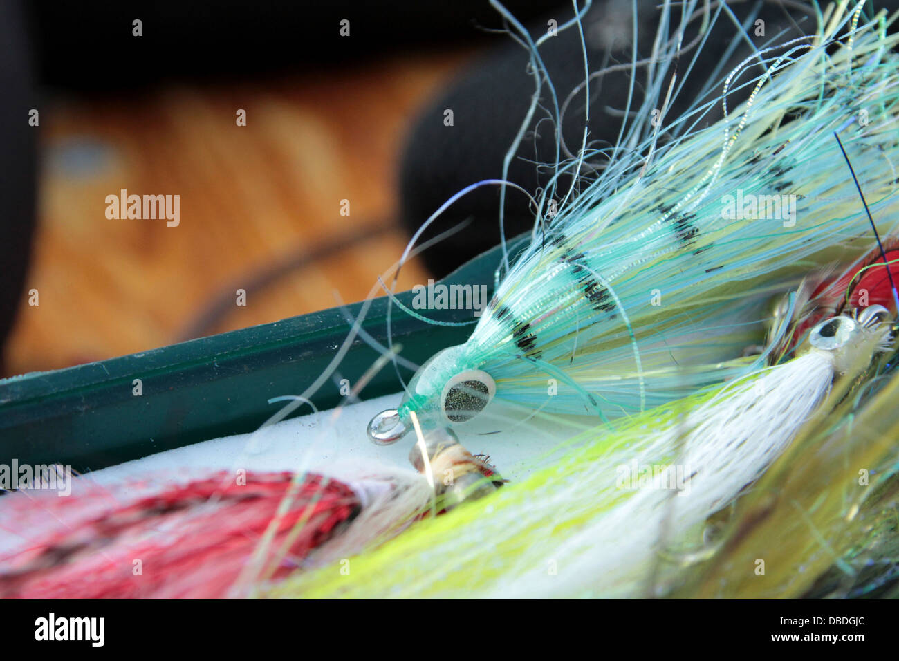 A blue fly Stock Photo - Alamy