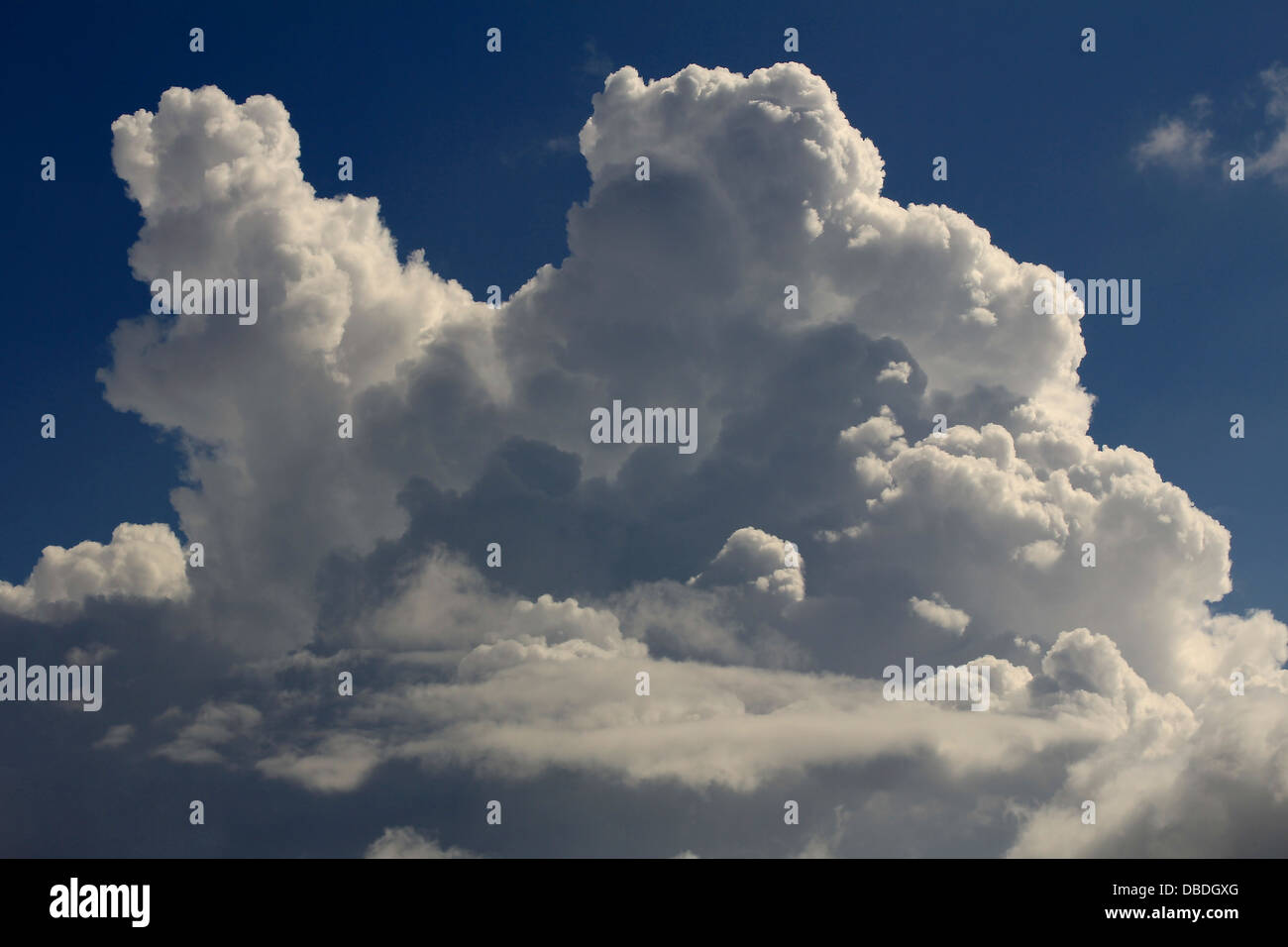 In different interesting hi-res stock photography and images - Alamy