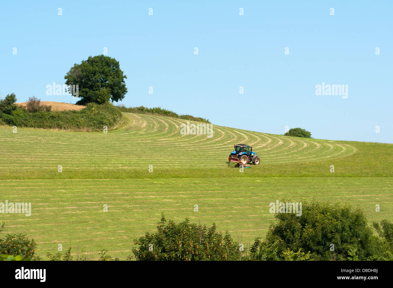 farming,devon,farmer on tractor, united kingdom, tree, meadow, trail ...