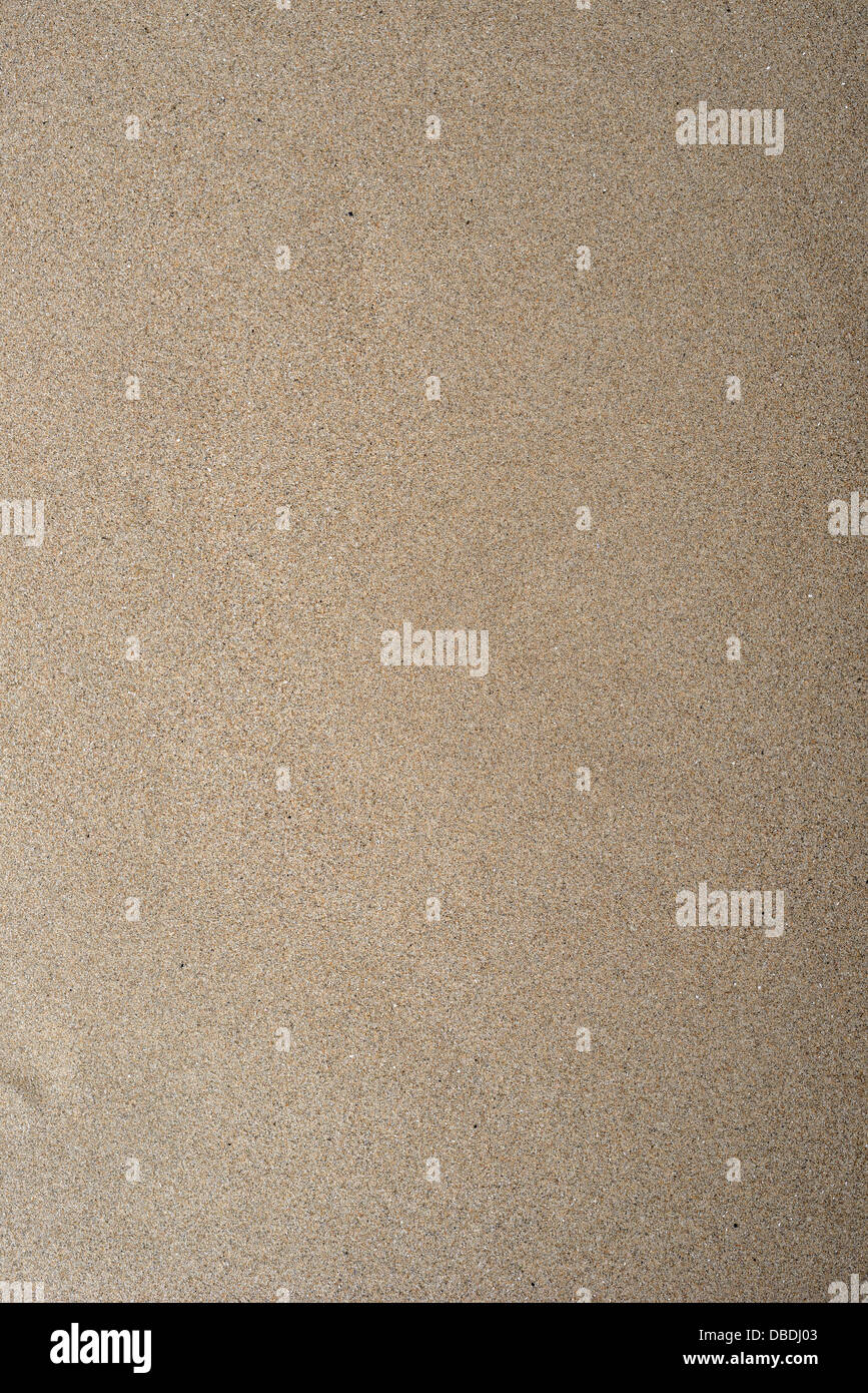 High Resolution Sand Texture Hi Res Beach Sand Texture Background