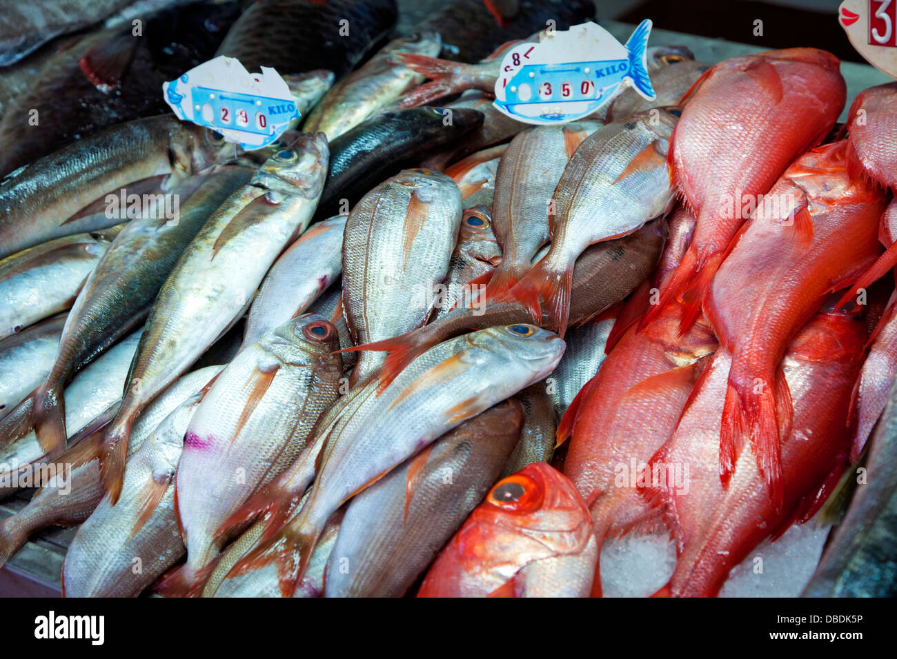 Variety of fresh fish at the market of Angra do Heroísmo, Terceira ...