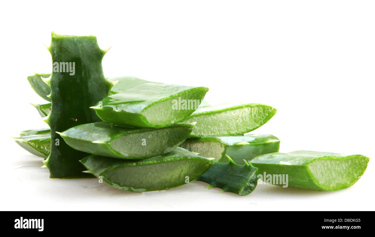 Spiral aloe aloe polyphylla hi-res stock photography and images - Alamy