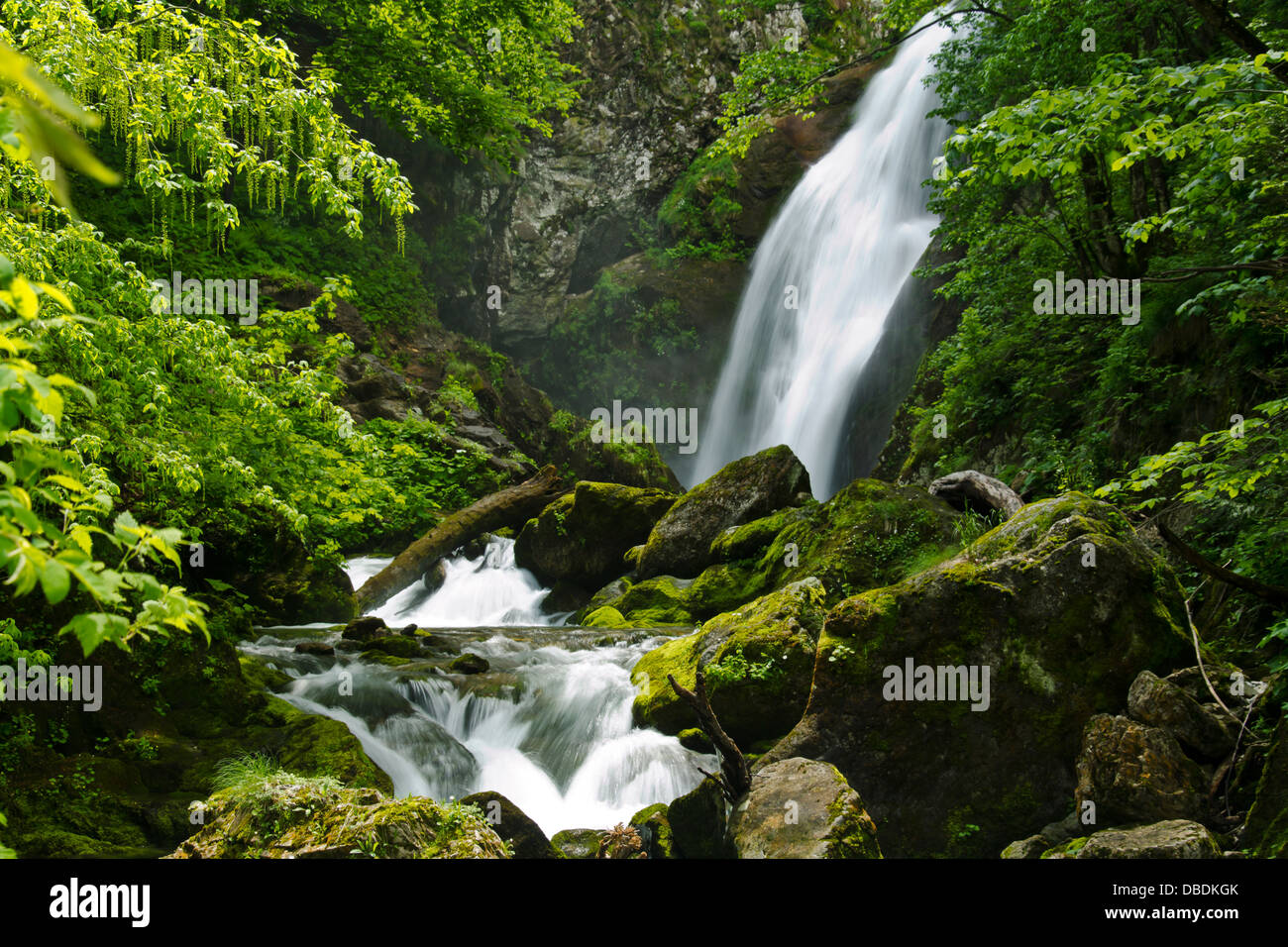 Fresh waterfall hi-res stock photography and images - Alamy