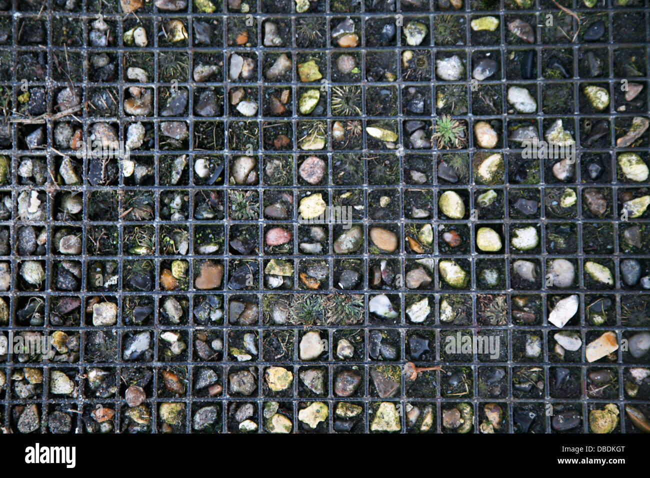 stones in an iron grid Stock Photo - Alamy