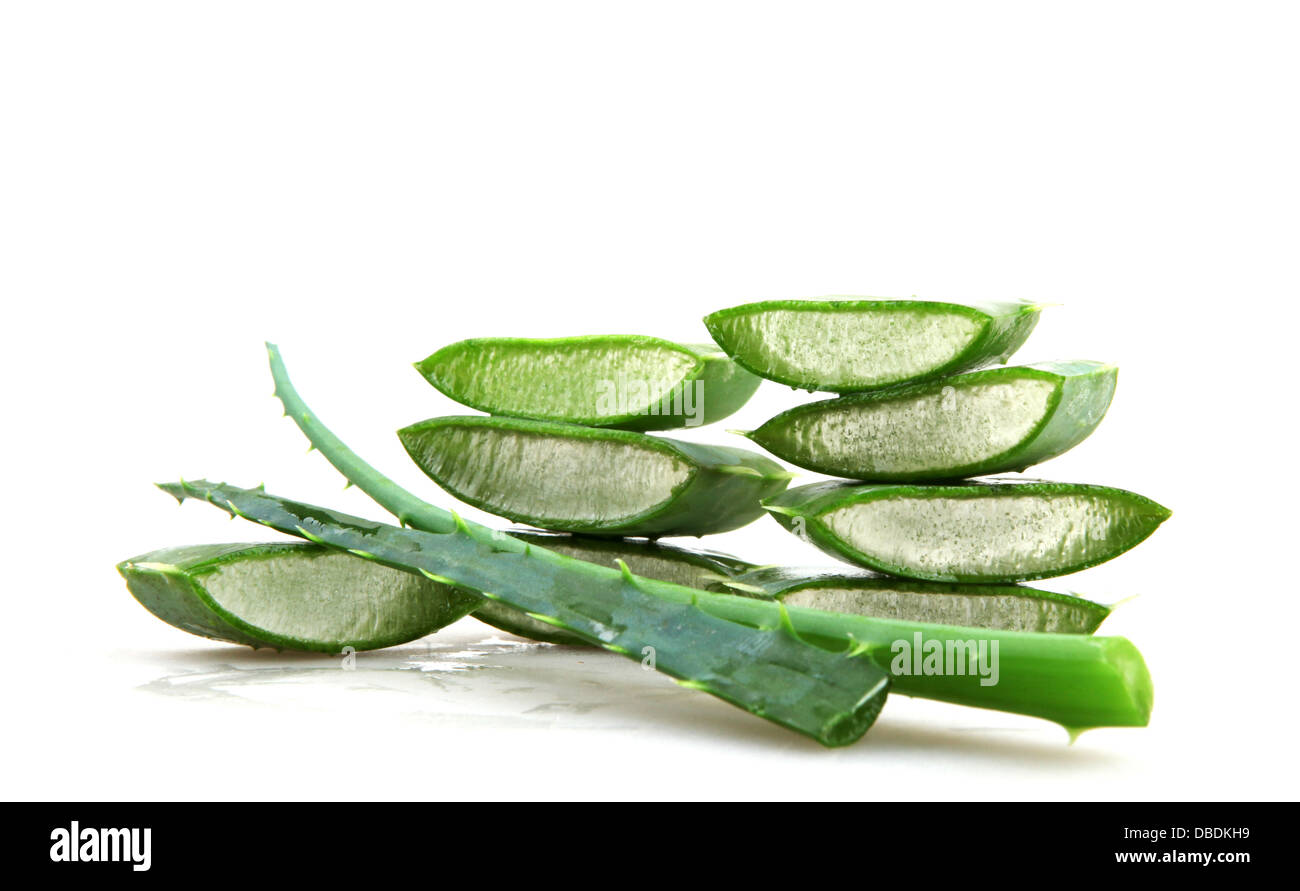 Aloe arborescens variegata hi-res stock photography and images - Alamy