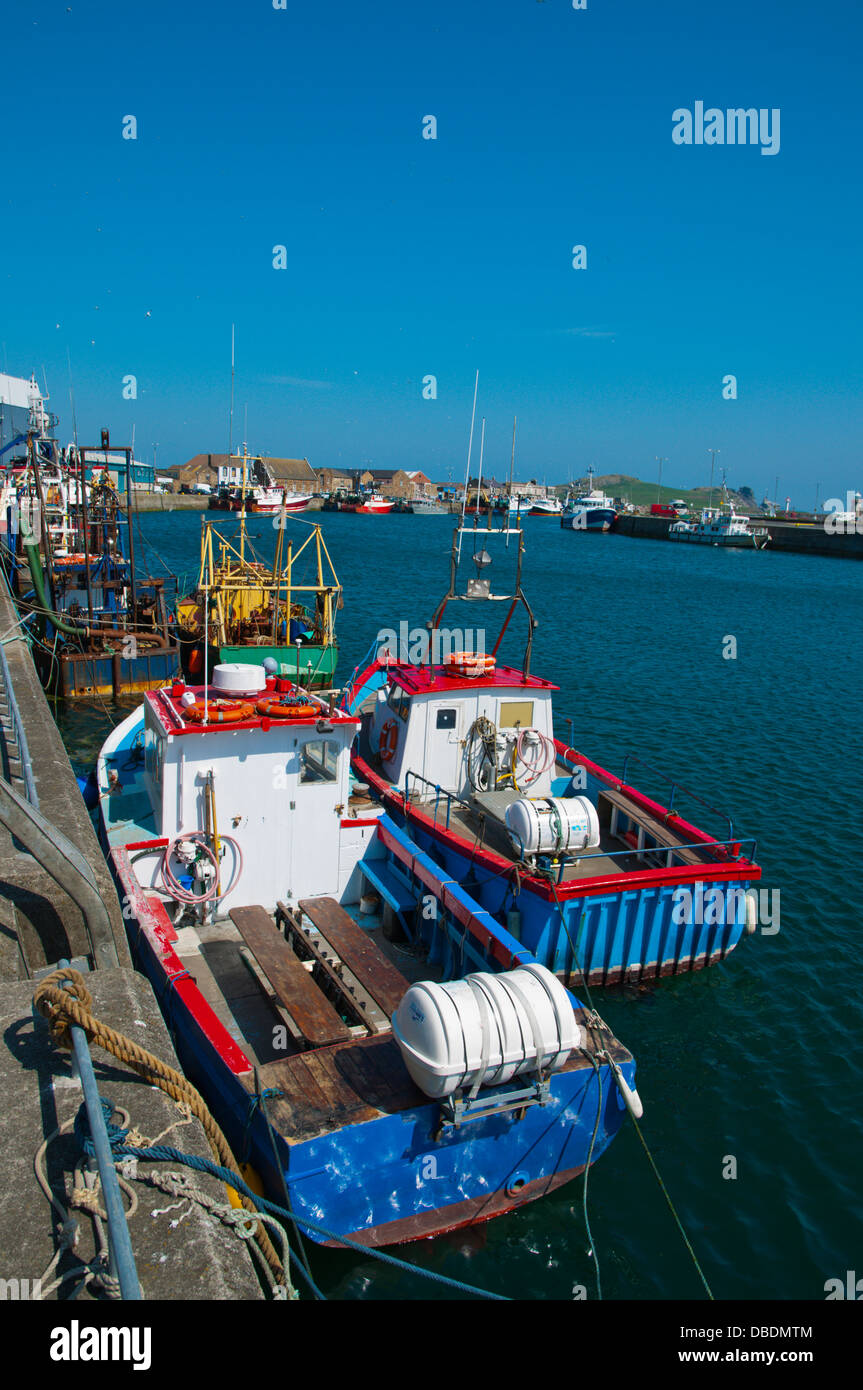 Boats Howth Fishery Harbour Centre in harbour Howth peninsula near ...