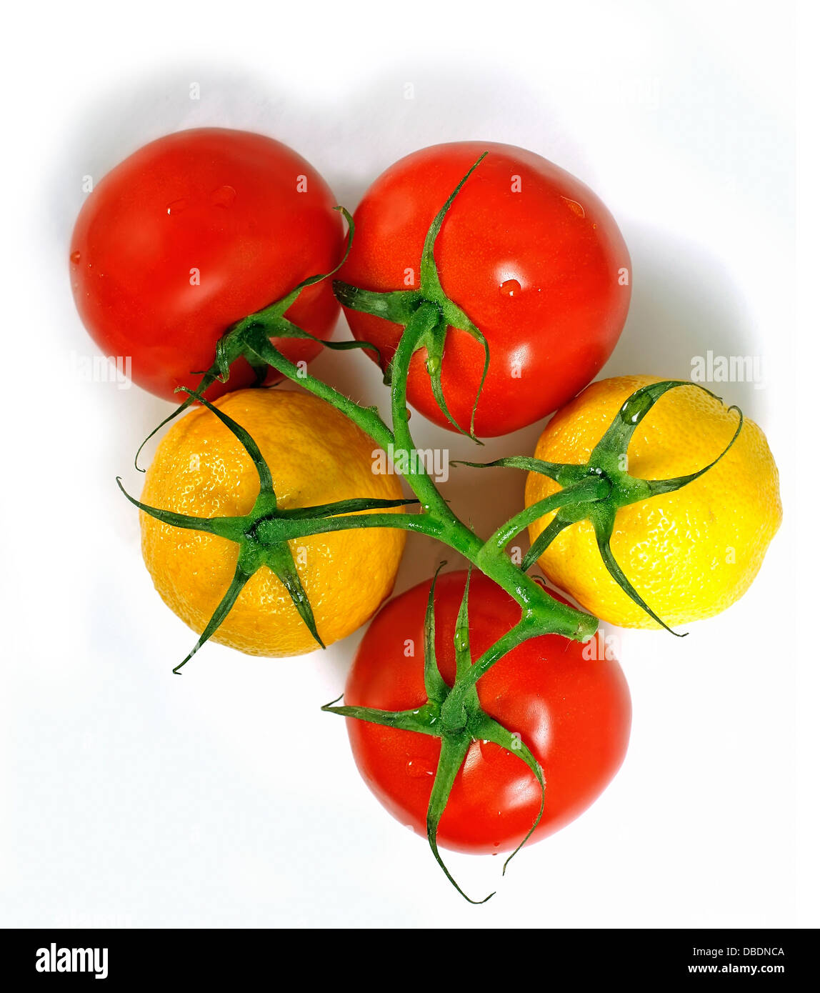 Lemon plantation hi-res stock photography and images - Alamy