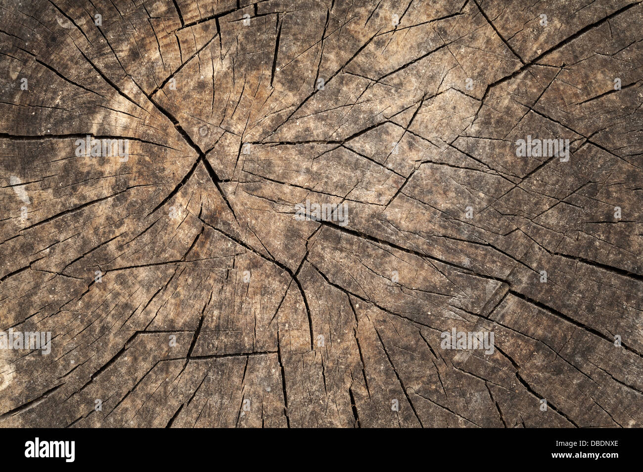 Brown weathered wood texture hi-res stock photography and images - Alamy