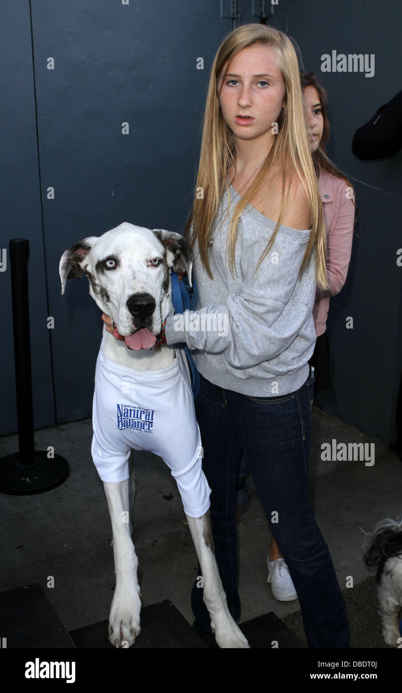 Bark in The Park participants 2nd Annual Bark In The Park held at ...