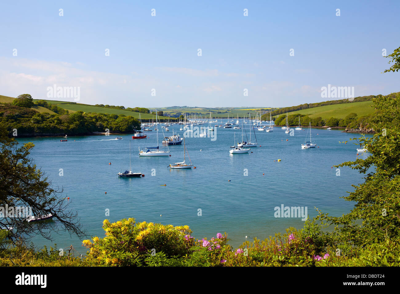 Salcome bay hi-res stock photography and images - Alamy