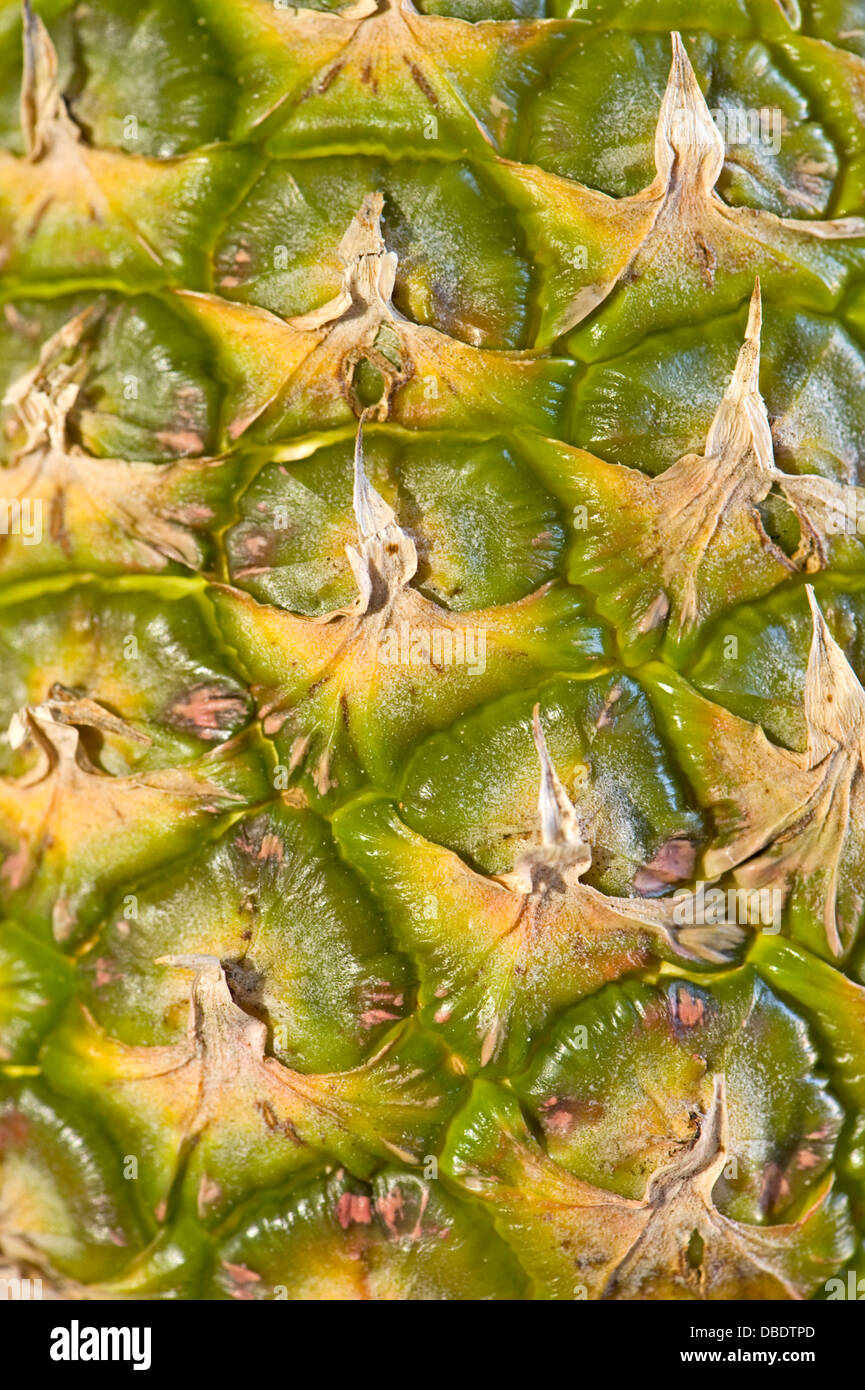 Pineapple skin close up hi-res stock photography and images - Alamy