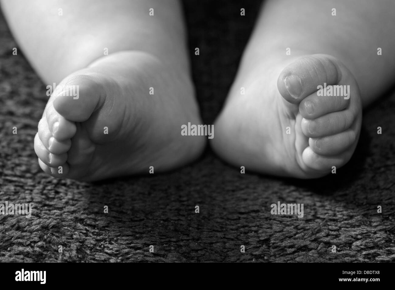 A close-up of a baby's feet Stock Photo - Alamy