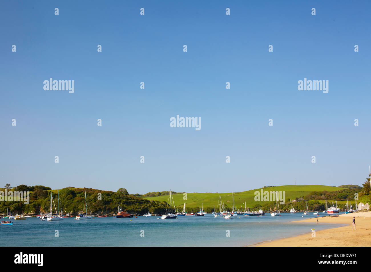 Salcome bay hi-res stock photography and images - Alamy