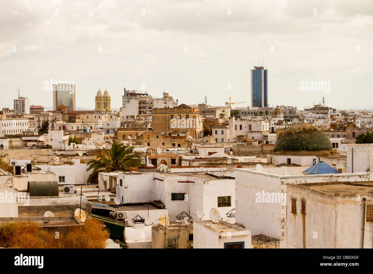 Panoramic view of the Medina of Tunis, Tunisia Stock Photo - Alamy