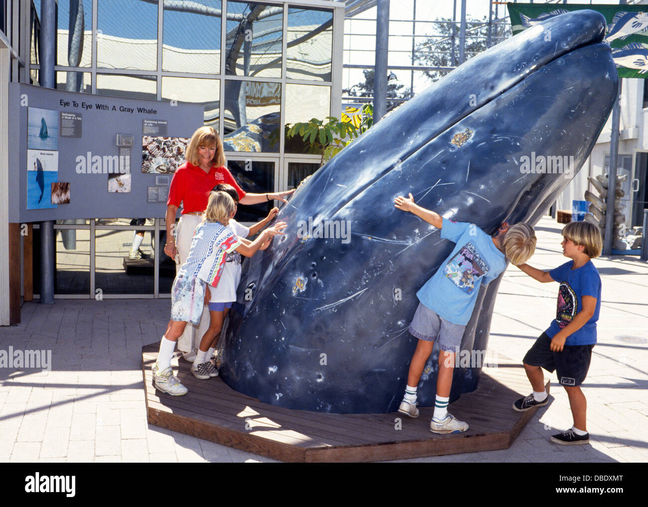 A female docent helps four young boys investigate a replica of the head ...