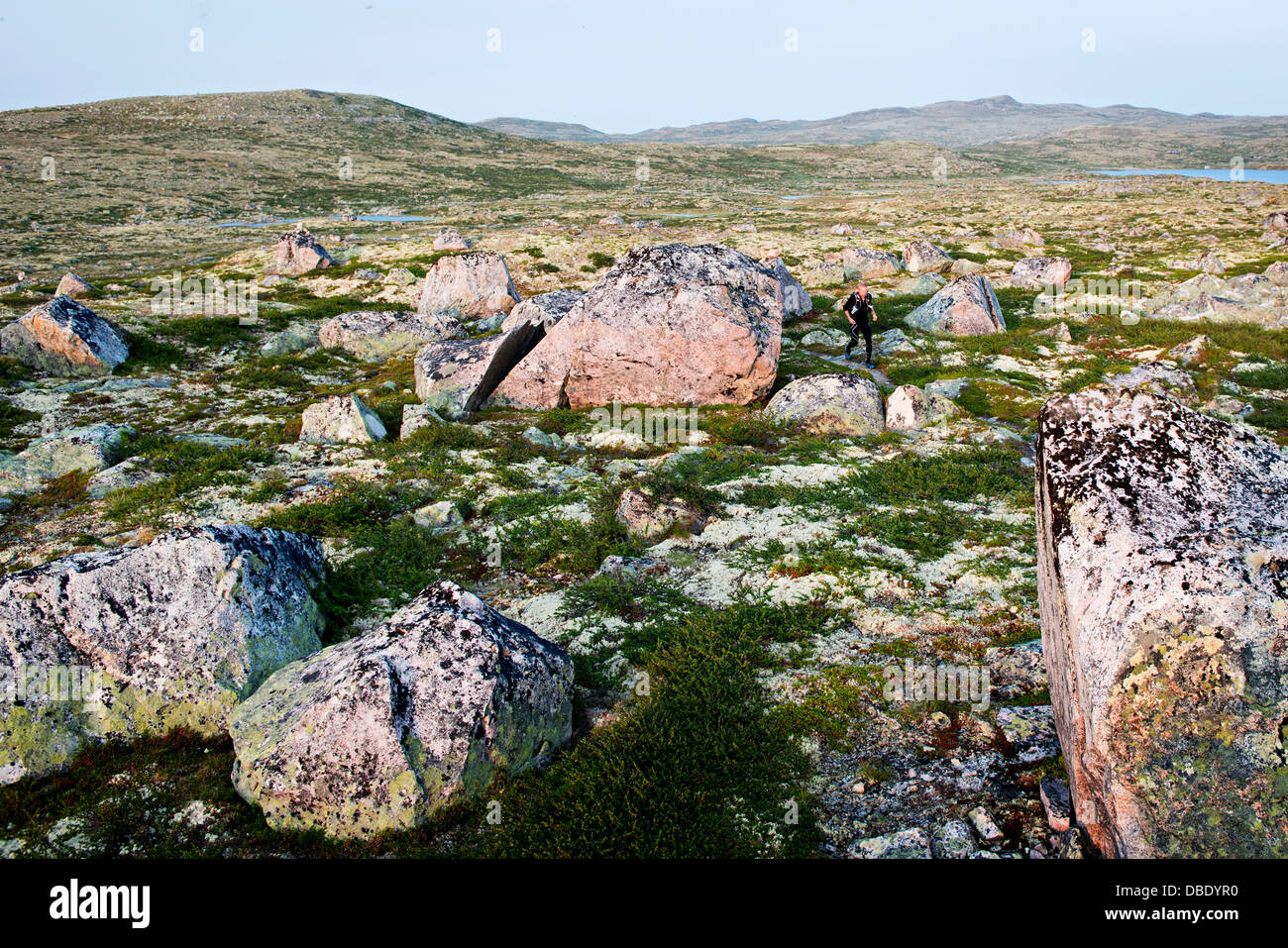 An athlete running on the Hardangervidda Plateau, Norway Stock Photo ...