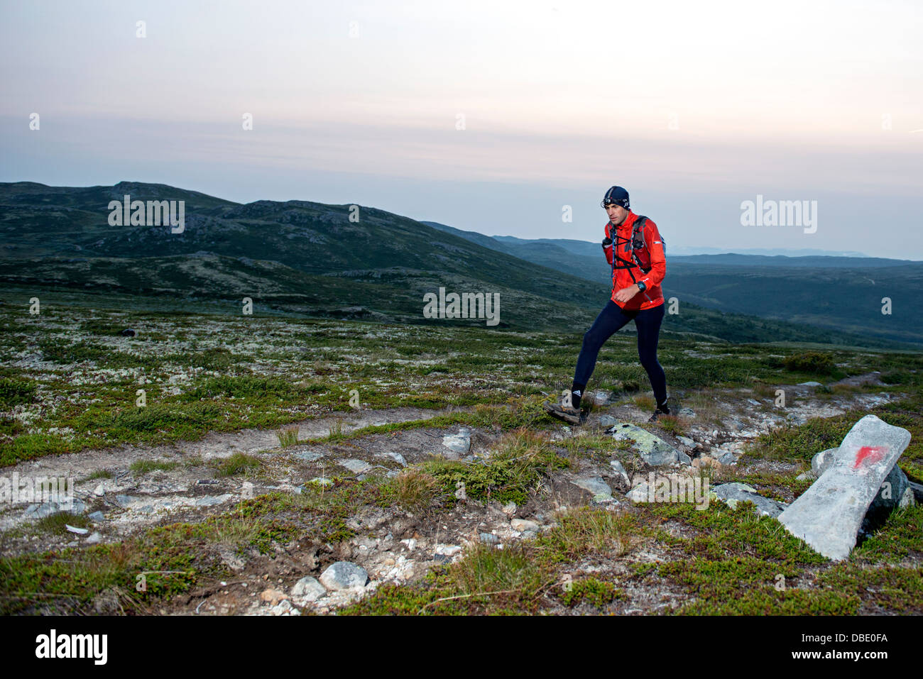 An athlete running on the Hardangervidda Plateau, Norway as night falls ...