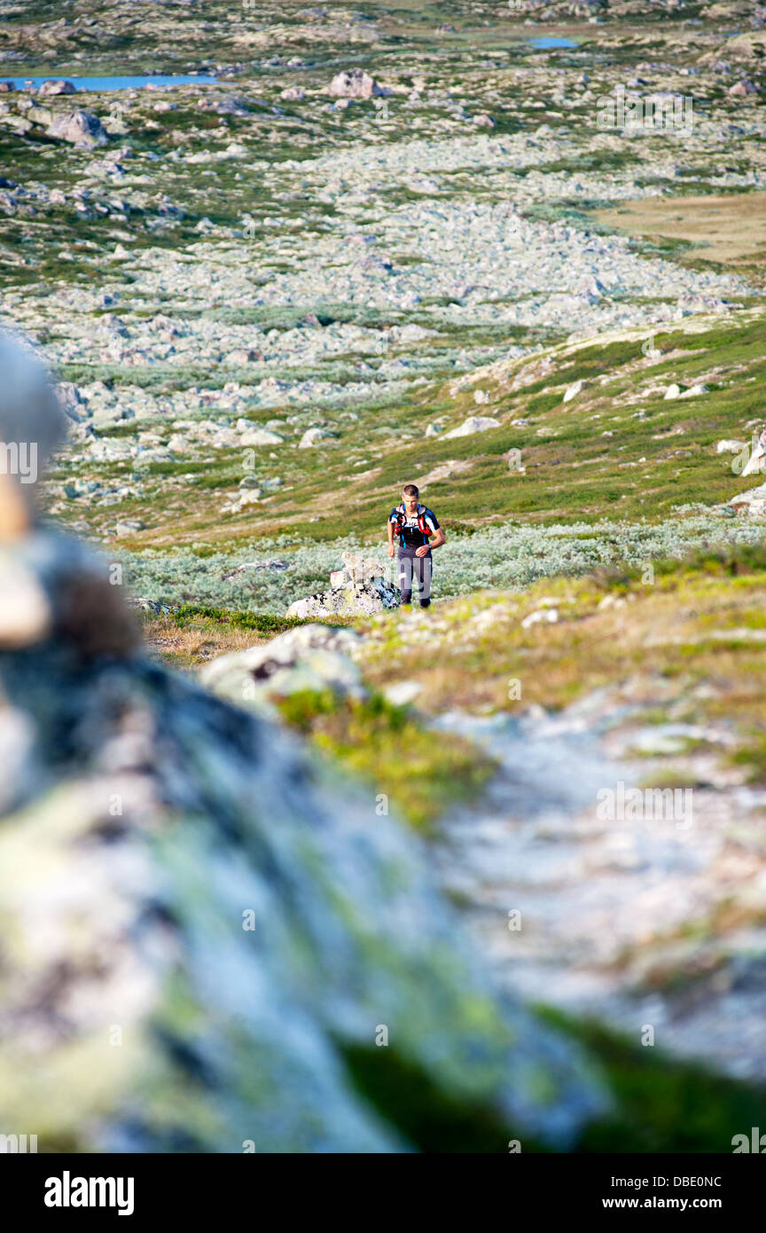 An athlete running on the Hardangervidda Plateau, Norway Stock Photo ...
