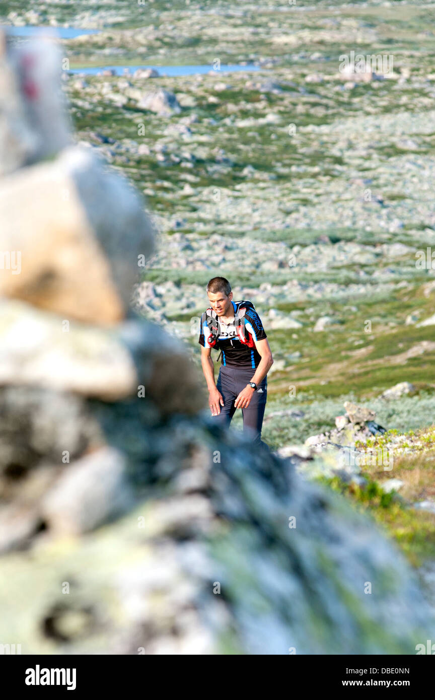 An athlete running on the Hardangervidda Plateau, Norway Stock Photo ...