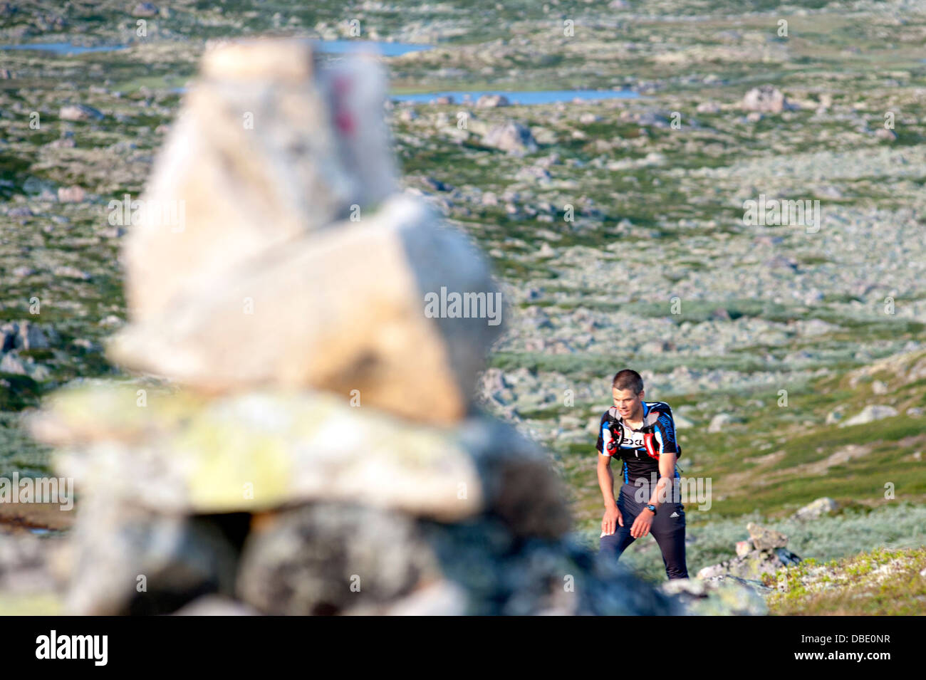 An athlete running on the Hardangervidda Plateau, Norway Stock Photo ...