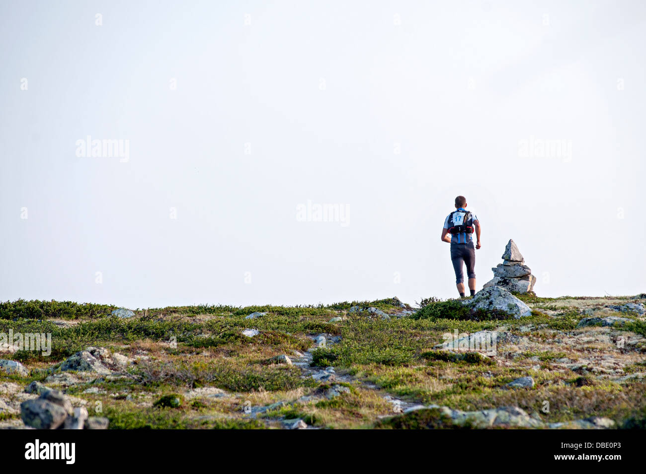An athlete running on the Hardangervidda Plateau, Norway Stock Photo ...