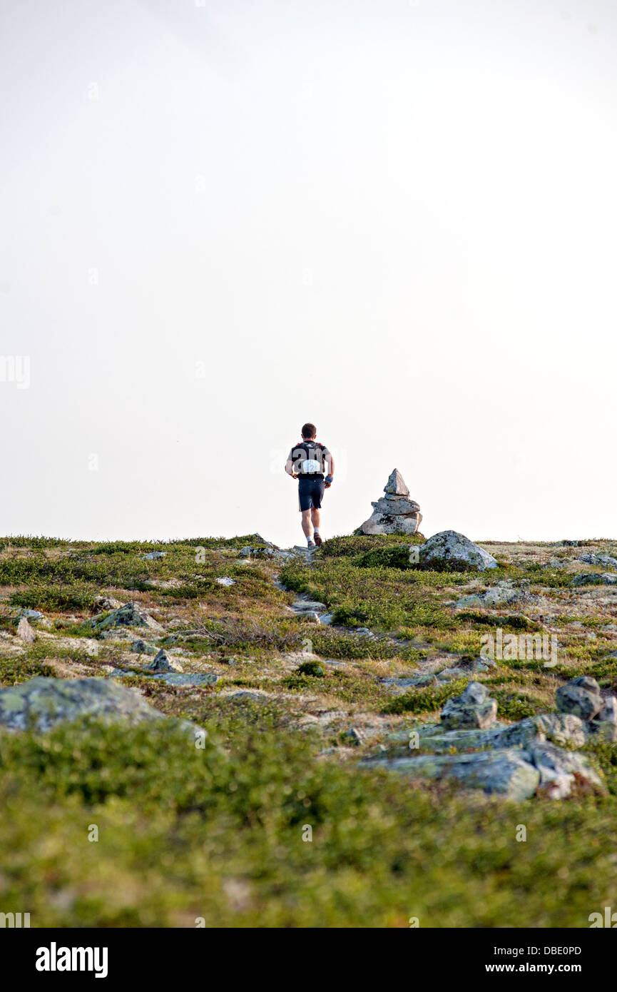 An athlete running on the Hardangervidda Plateau, Norway Stock Photo ...