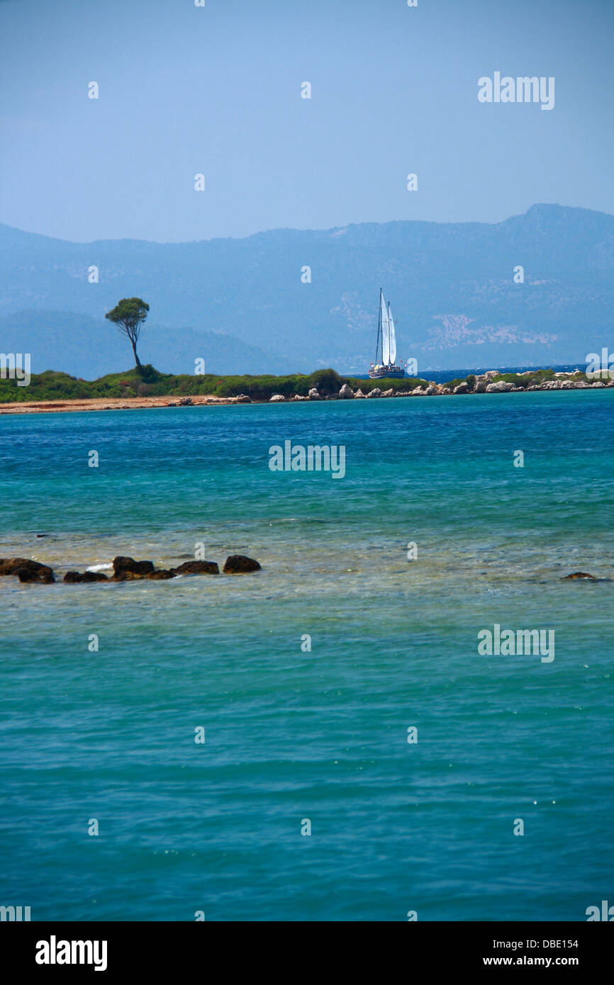 lonely tree on island with view of tourquoise sea and mountain Stock ...