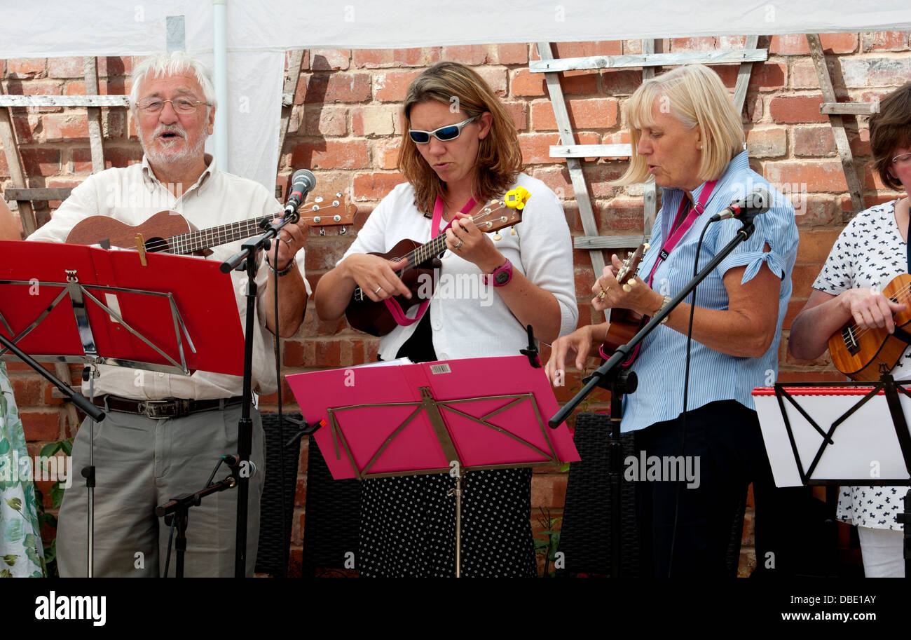 Group people playing musical instrument hi-res stock photography and ...
