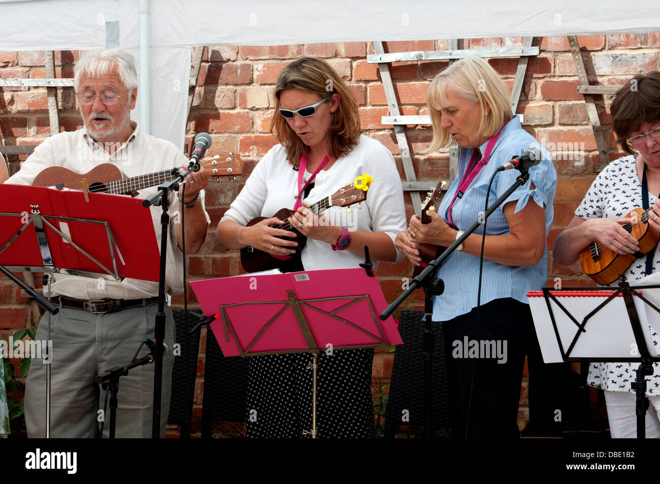 Group people playing musical instrument hi-res stock photography and ...