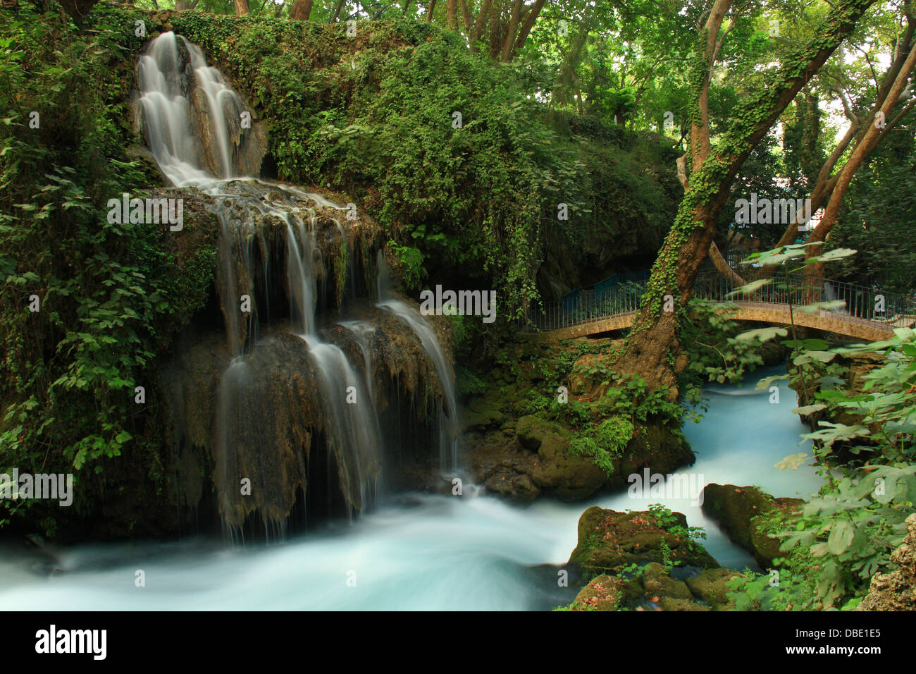 bridge on waterfall with tree and tourquoise stream Stock Photo - Alamy