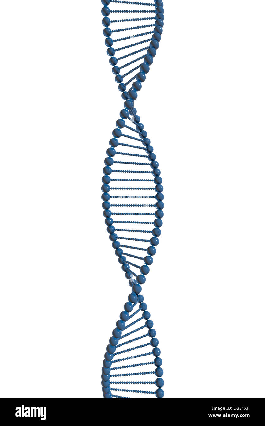 Isolated DNA strand on white background concept of science research ...