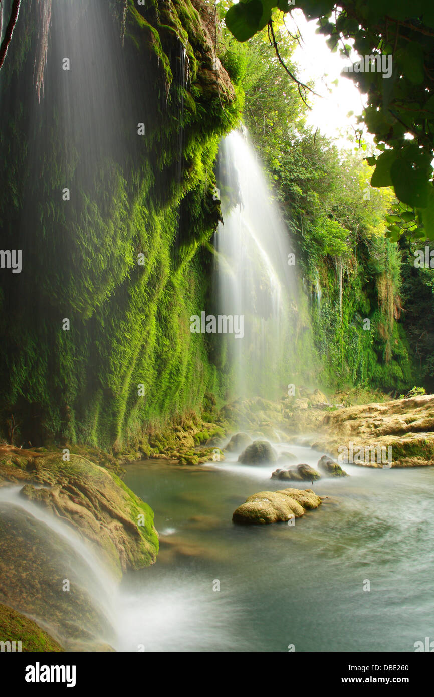 tree roots and water flowing on rocks with view of waterfall Stock ...