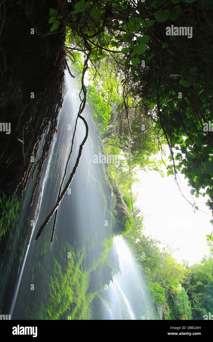 tree roots and water flowing on rocks with view of waterfall Stock ...