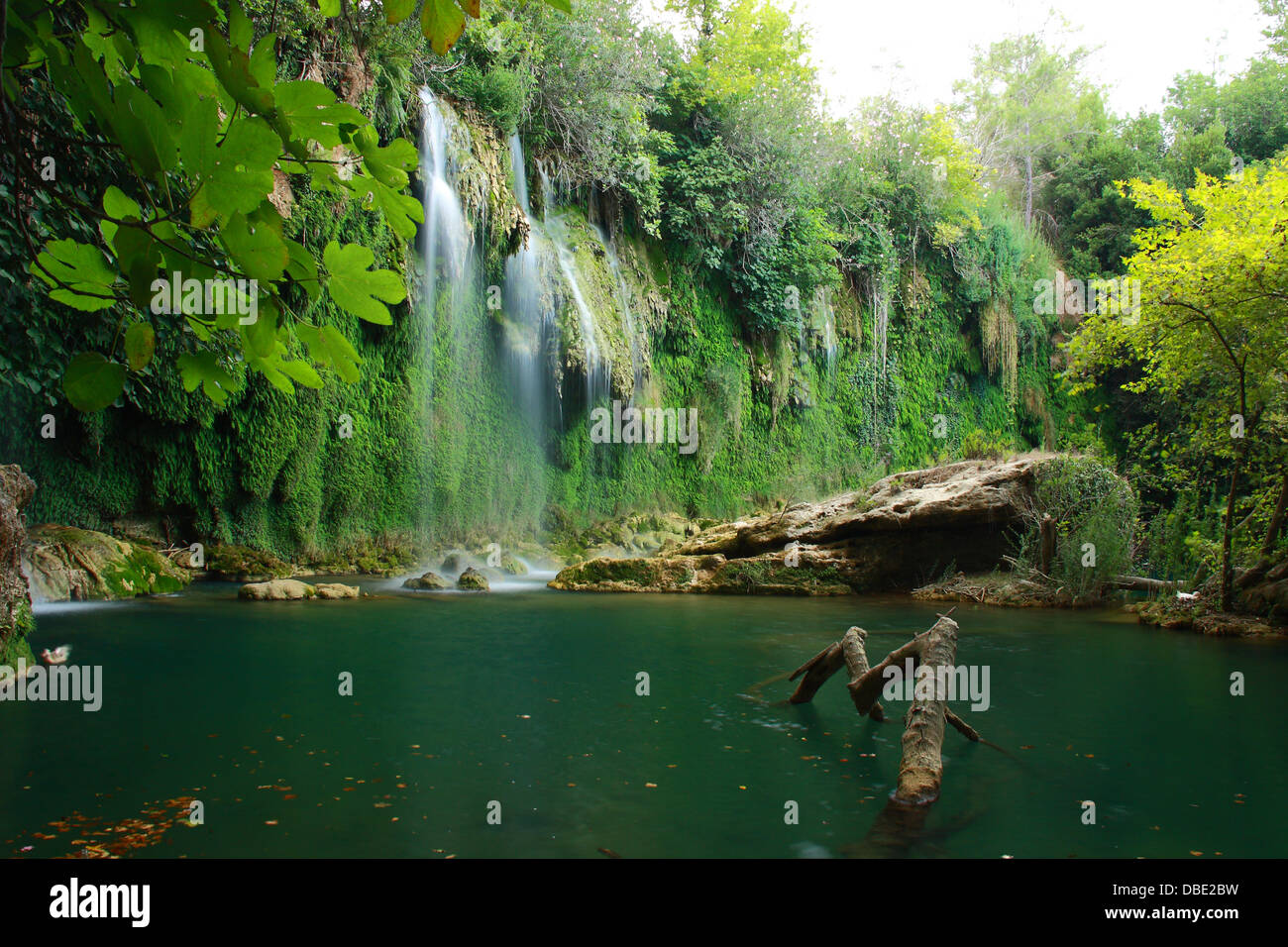 tree roots and water flowing on rocks with view of waterfall Stock ...