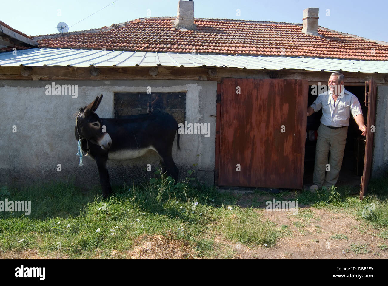 man and donkey look at each other outside his home Stock Photo - Alamy