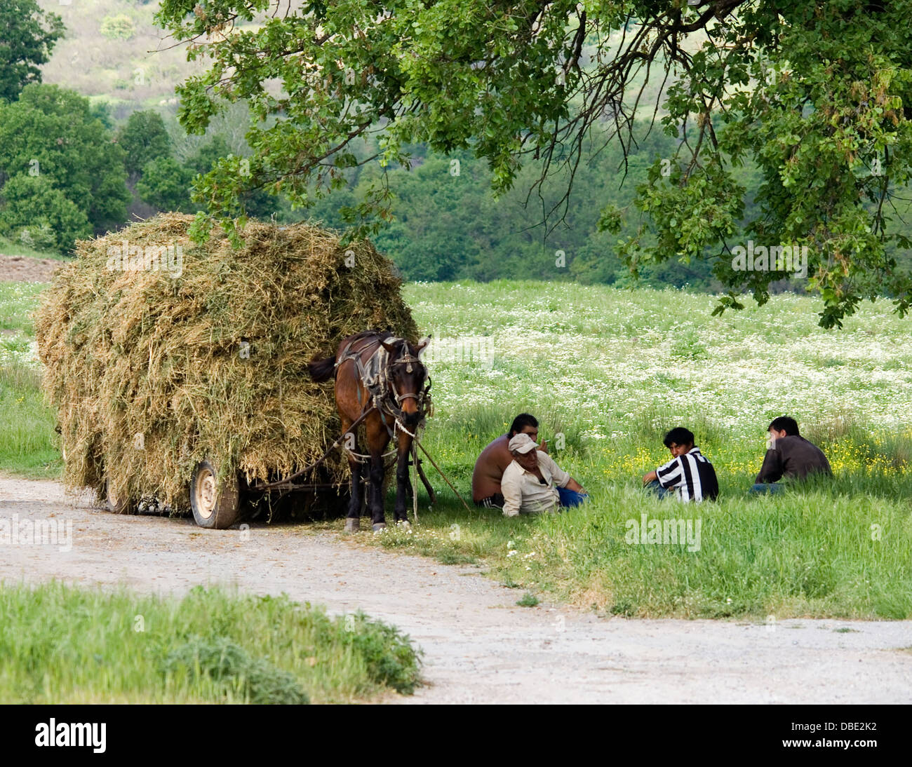Bulgarian farmers with winter hay for the animals hi-res stock ...