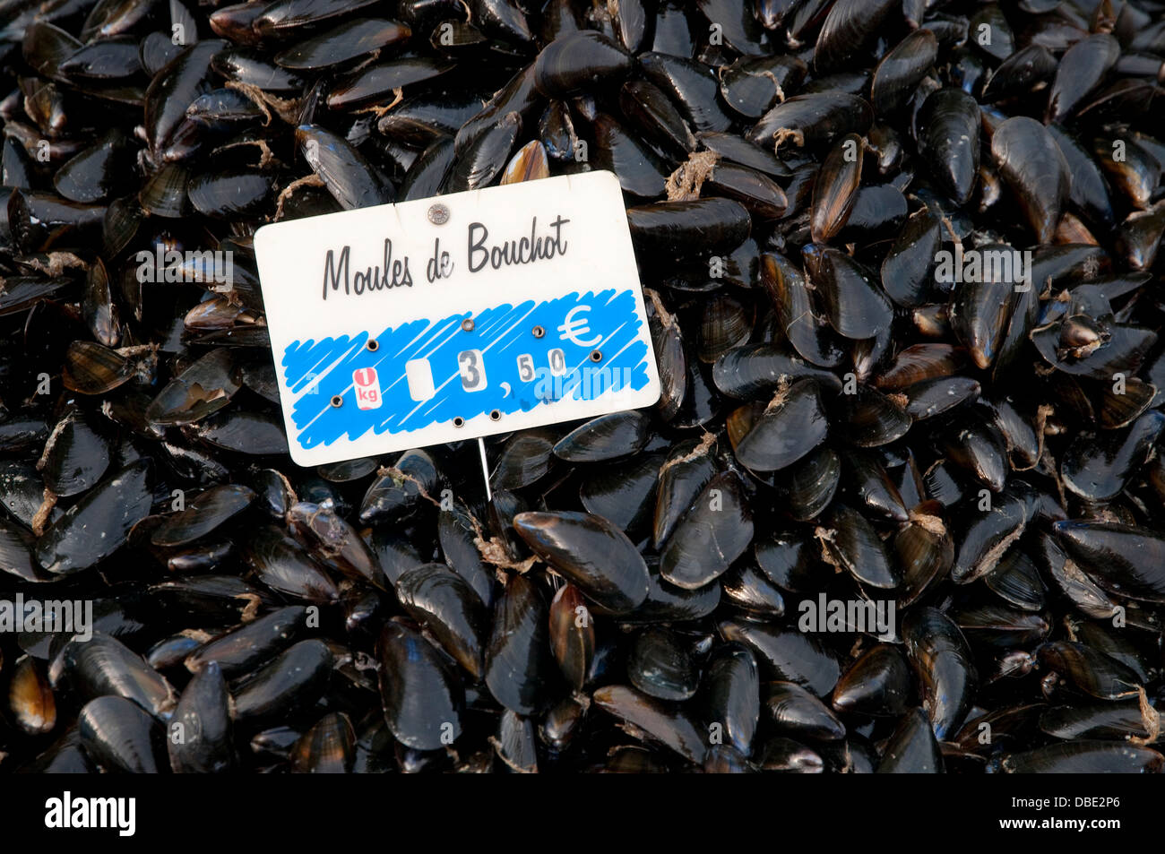 Freshly caught cooked hi-res stock photography and images - Alamy