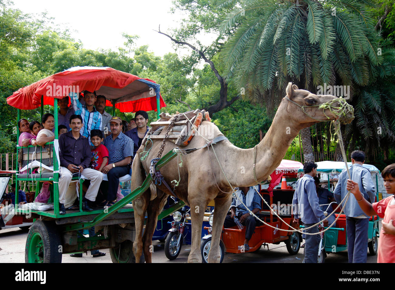 Camel cart hi-res stock photography and images - Alamy